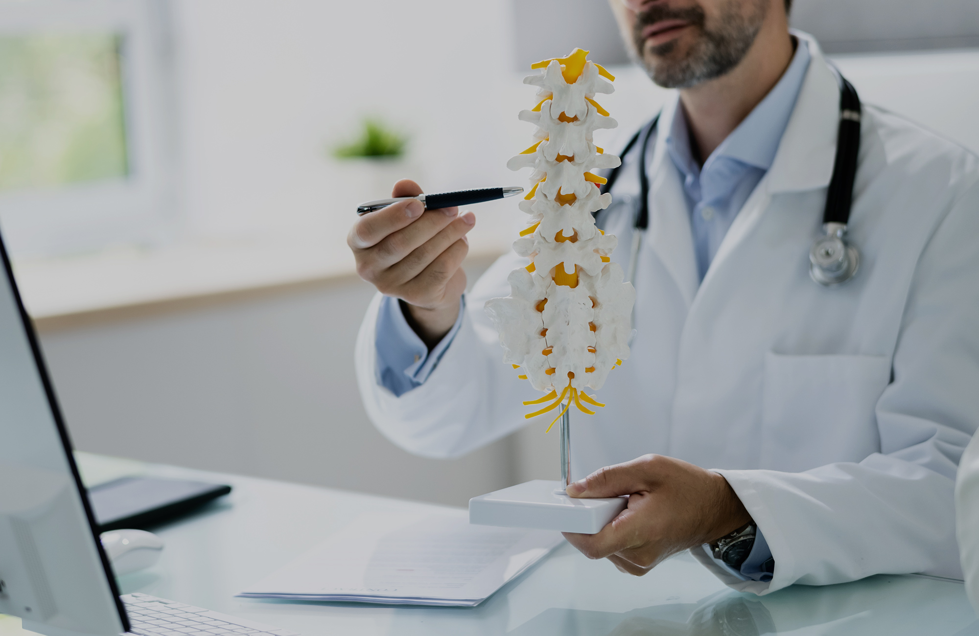 Case Study: The Chiropractic Physicians' Board of Nevada - Thentia Cloud